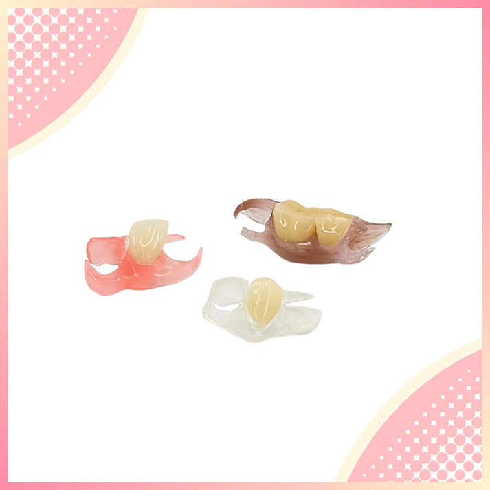 FLEXIBLE FLIPPER / DENTAL NESBIT COVERS UP TO 3 TEETH - $350 Sale